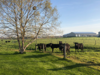 Our Farm – Charles Family Farm